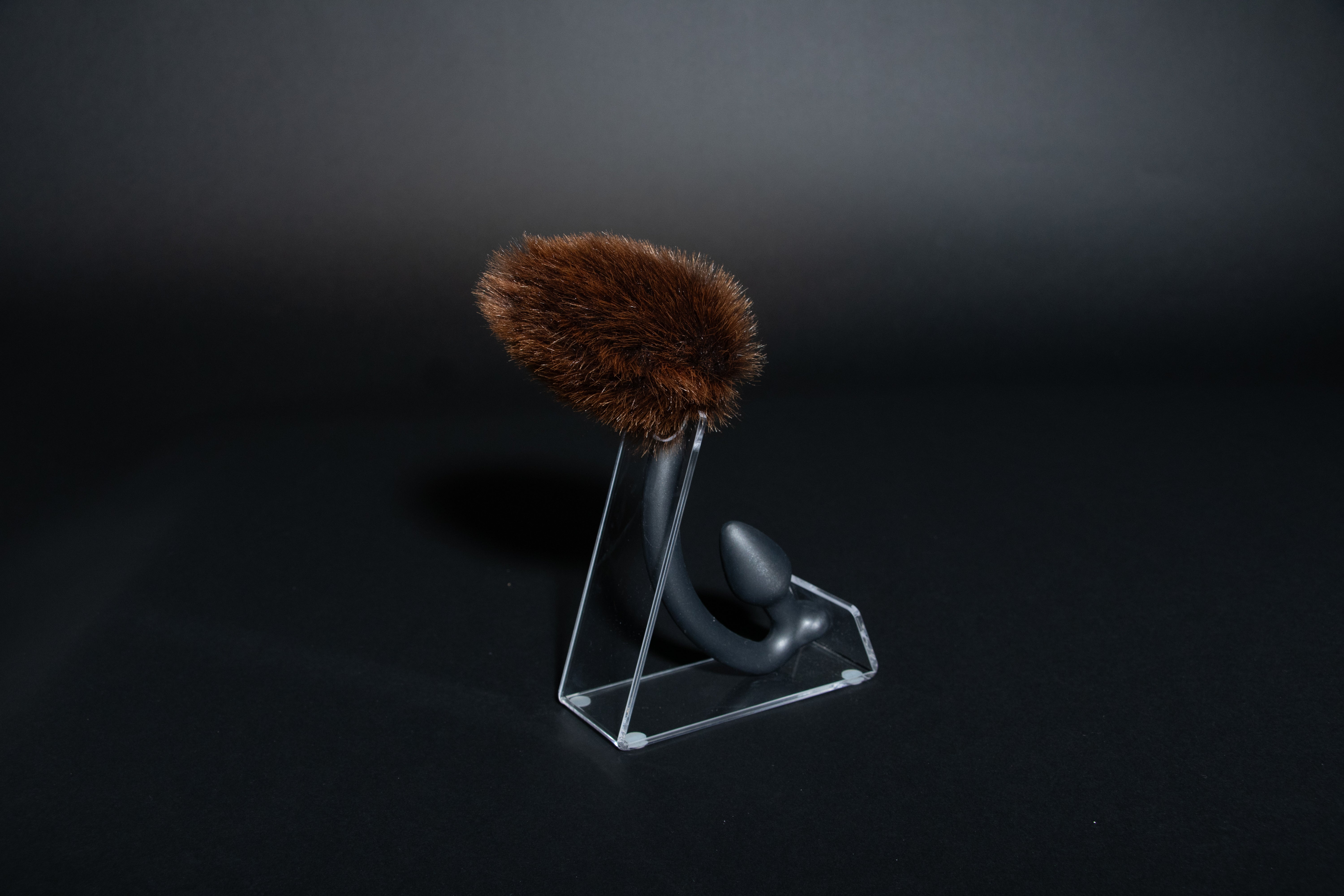 Bear Tails – Tails Of Fantasy